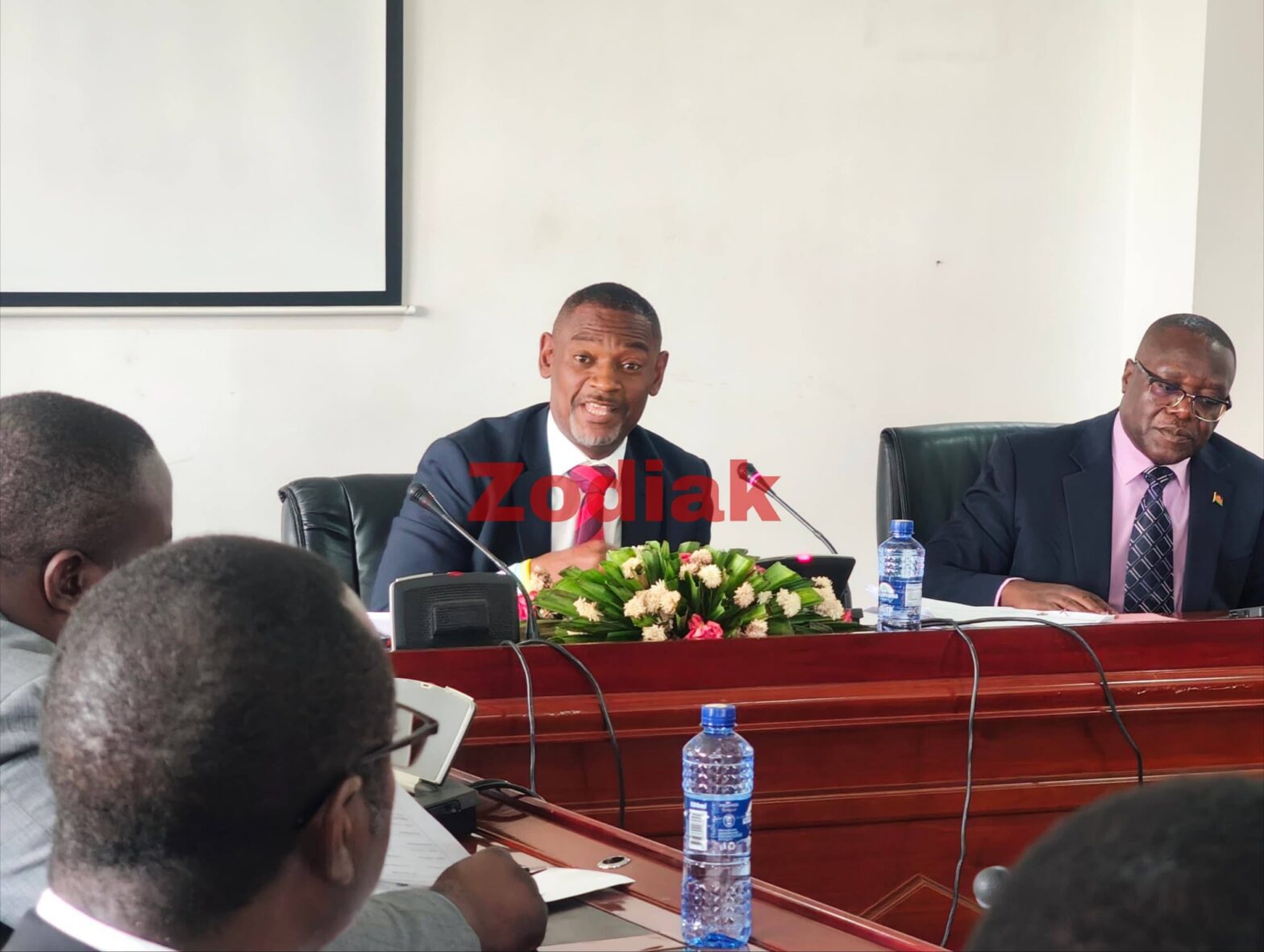 Parliamentary committee begins investigations into Chilima plane crash ...