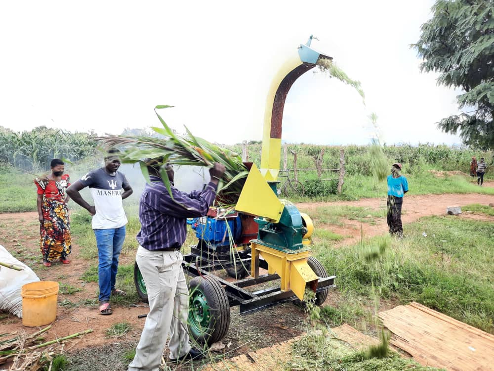 Agricultural commercialisation project bearing fruits: Mchinji Co-op ...