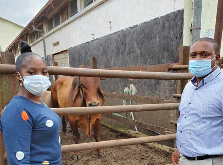 Abida Mia set to mask up thousands of Malawians against Covid-19 for ...