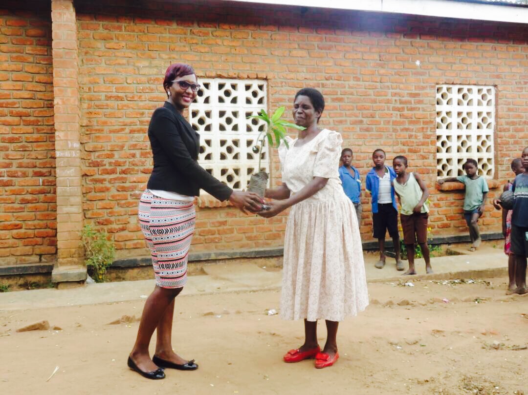 SimbaNet completes distribution of tree seedlings - Malawi Nyasa Times ...