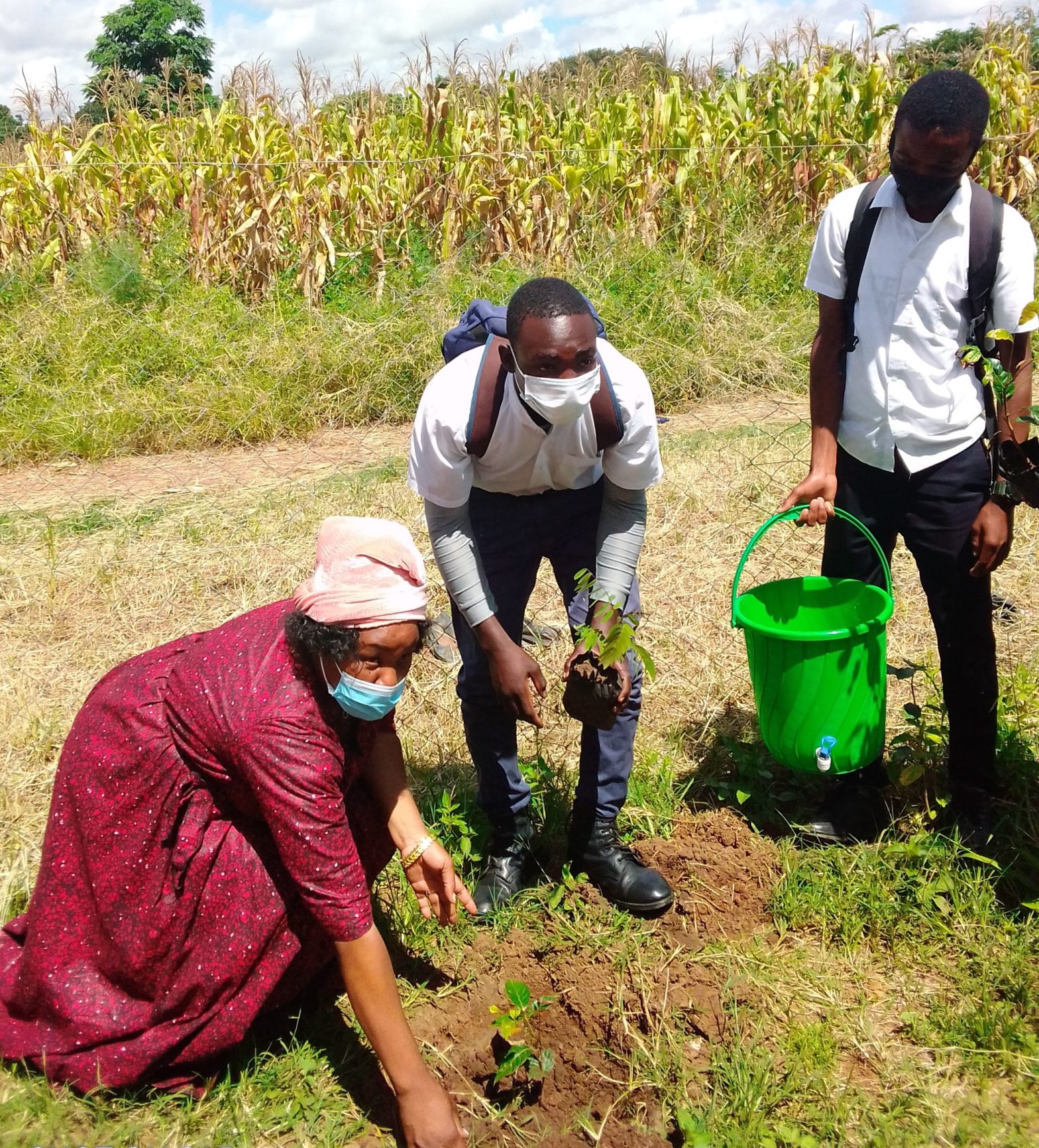Women in agriculture urge students to embrace tree planting culture ...