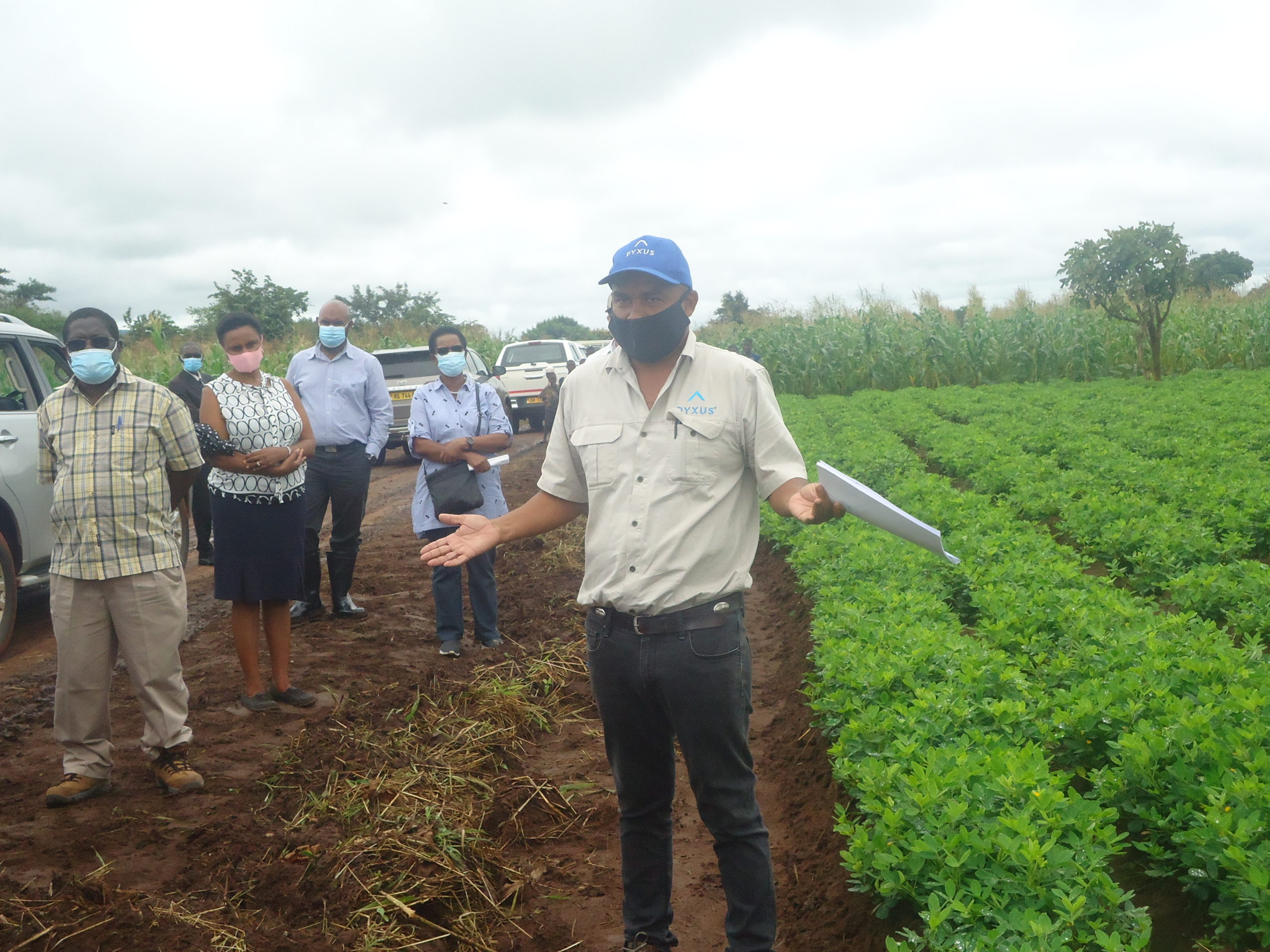 Minister Lowe hails Pyxus Agriculture for promoting legumes production ...
