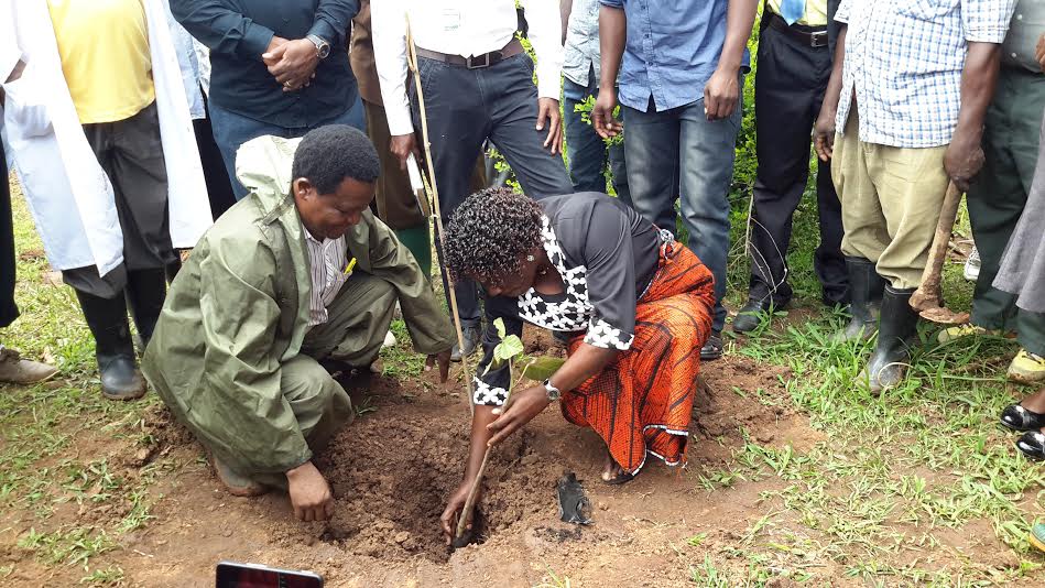 Chitipa DC makes Tanzania green - Malawi Nyasa Times - News from Malawi ...