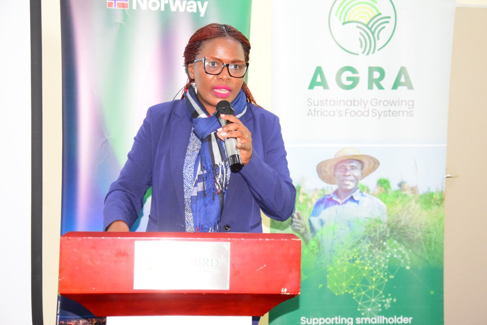 Malawi launches groundbreaking agricultural initiative to boost farming ...