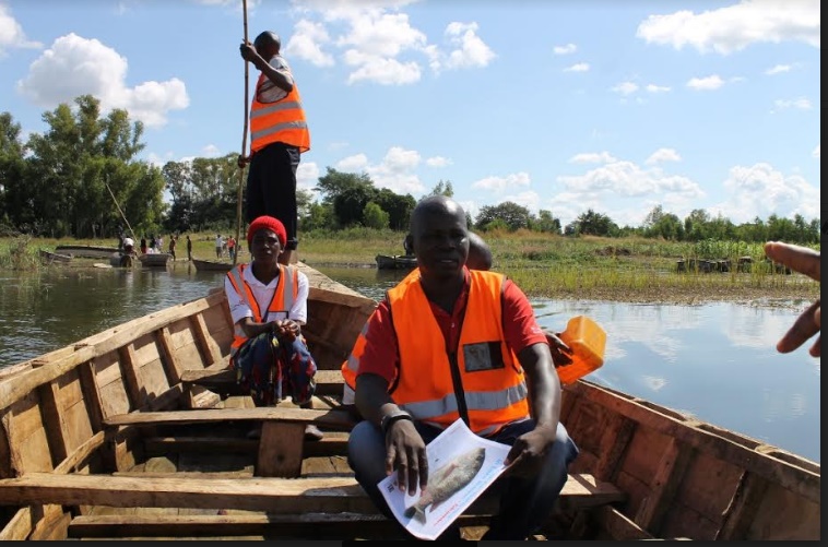 Pride returns to Lake Chiuta - Malawi Nyasa Times - News from Malawi ...