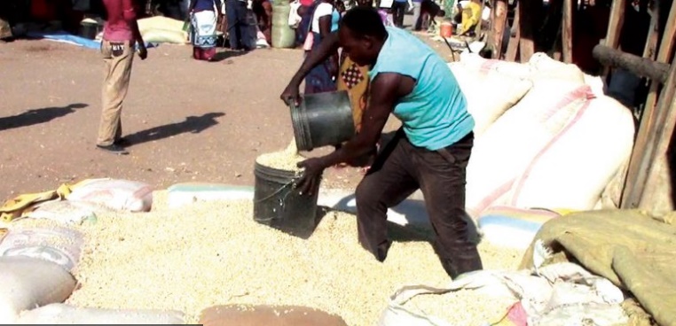 Maize prices sour as Malawi reserves hit record low: Traders hoarding ...