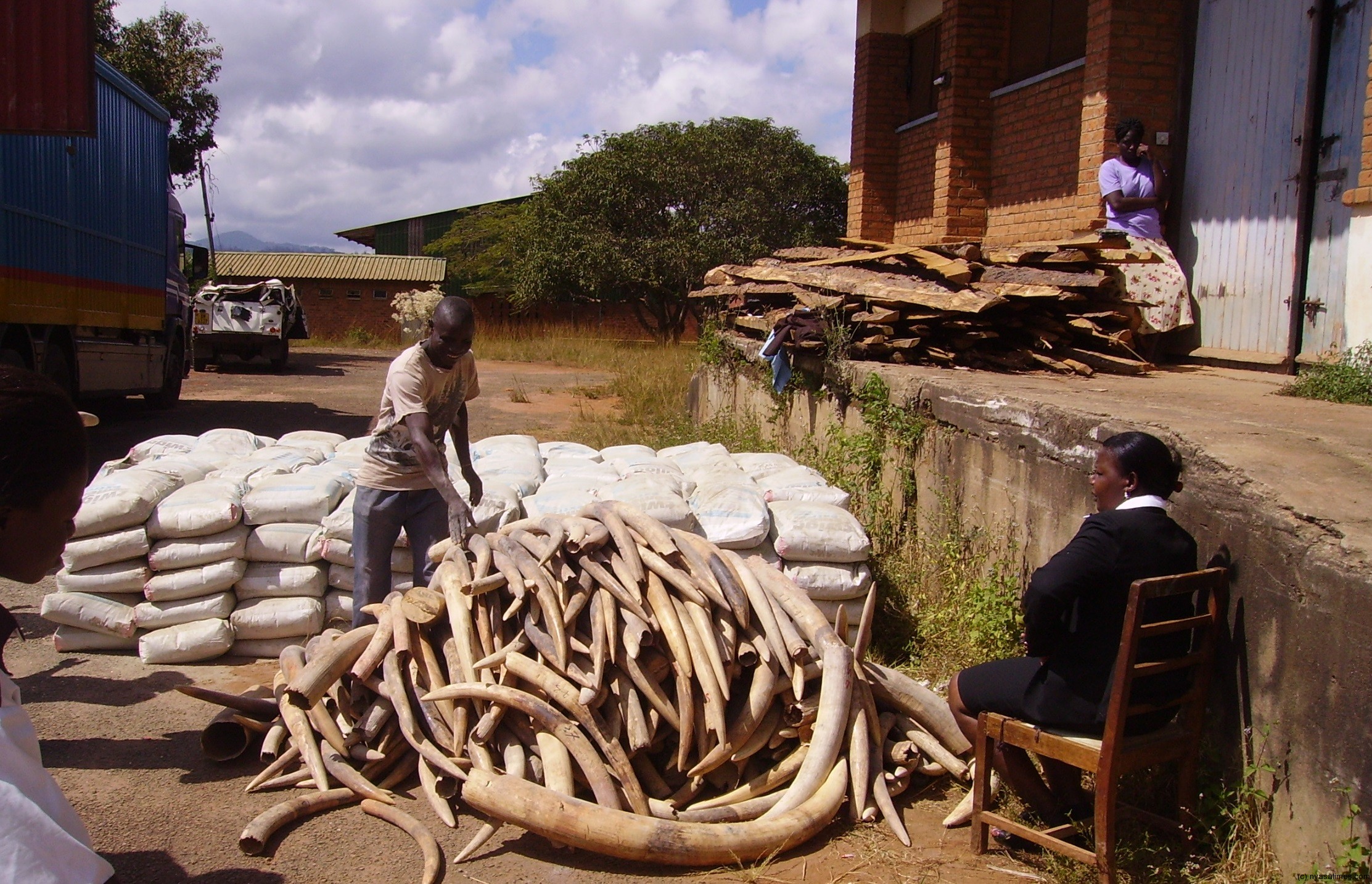 Malawian man convicted for ivory export to China - Malawi Nyasa Times ...