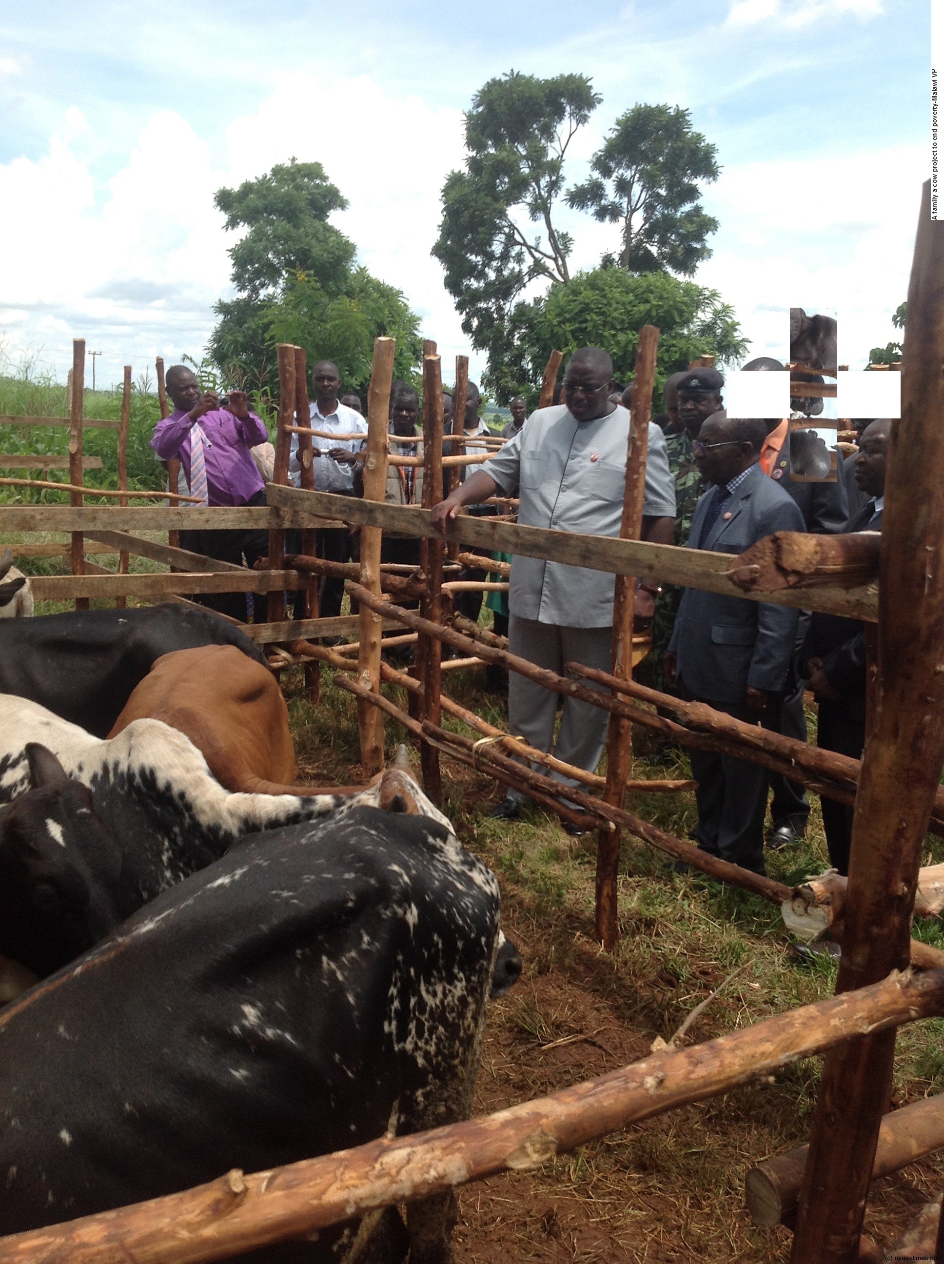 A family a cow project to end poverty-Malawi VP - Malawi Nyasa Times ...